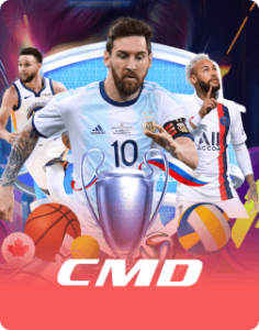 Acewin | Acewin Official App - Register and Login - AceWin99.in